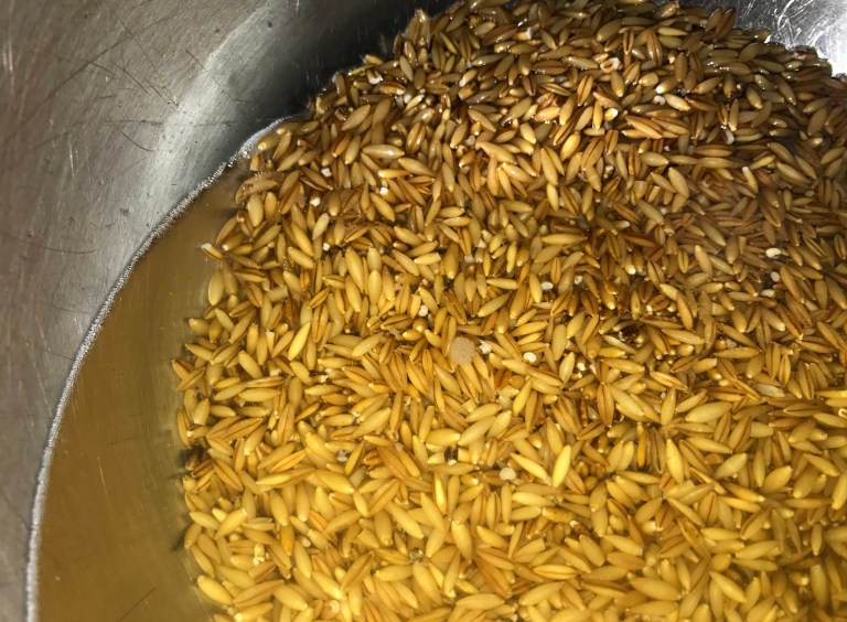 Moongil Arisi Payasam/ Bamboo Rice Payasam | Dosaikal