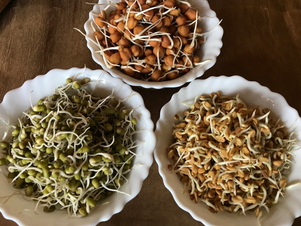 Nutritious Package – Sprouts : salad and sundal | Dosaikal