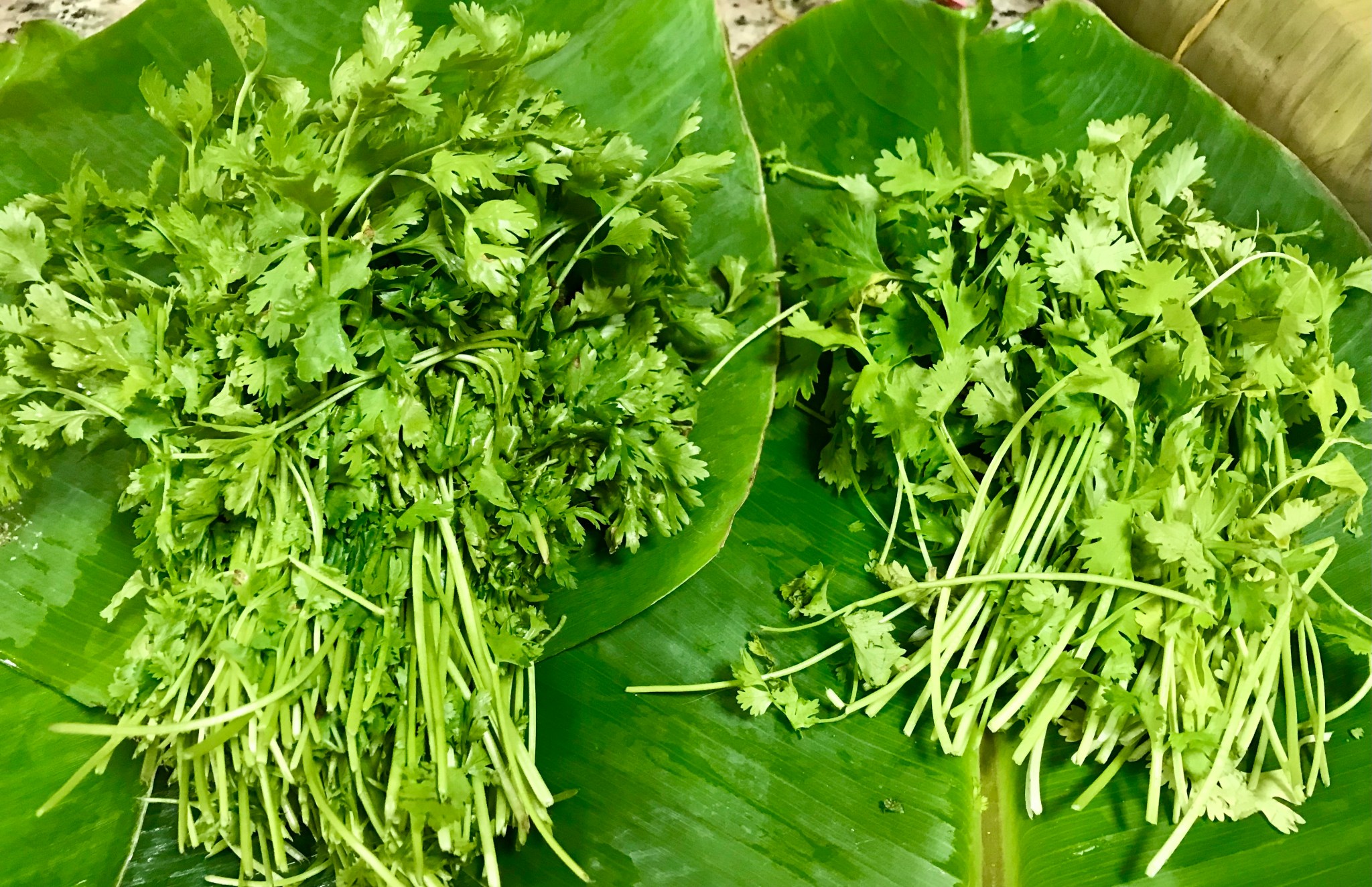 Dosaikal | …..Peeping into grandma's kitchen and more…